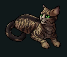Runningwind | Cool Warrior Cats Wiki | Fandom