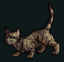 Runningwind | Cool Warrior Cats Wiki | Fandom