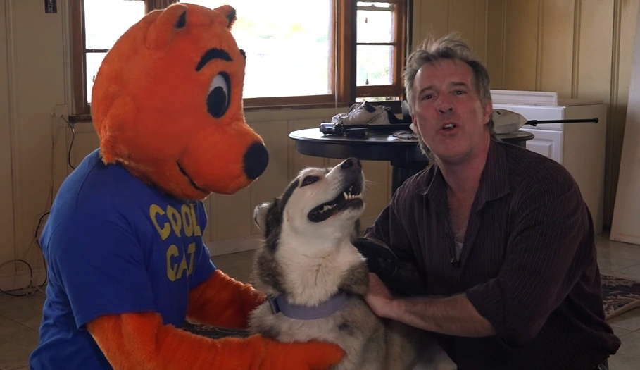 Harry the Husky | Cool Cat Wiki | Fandom