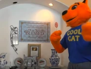 Cool Cat | Cool Cat Wiki | Fandom