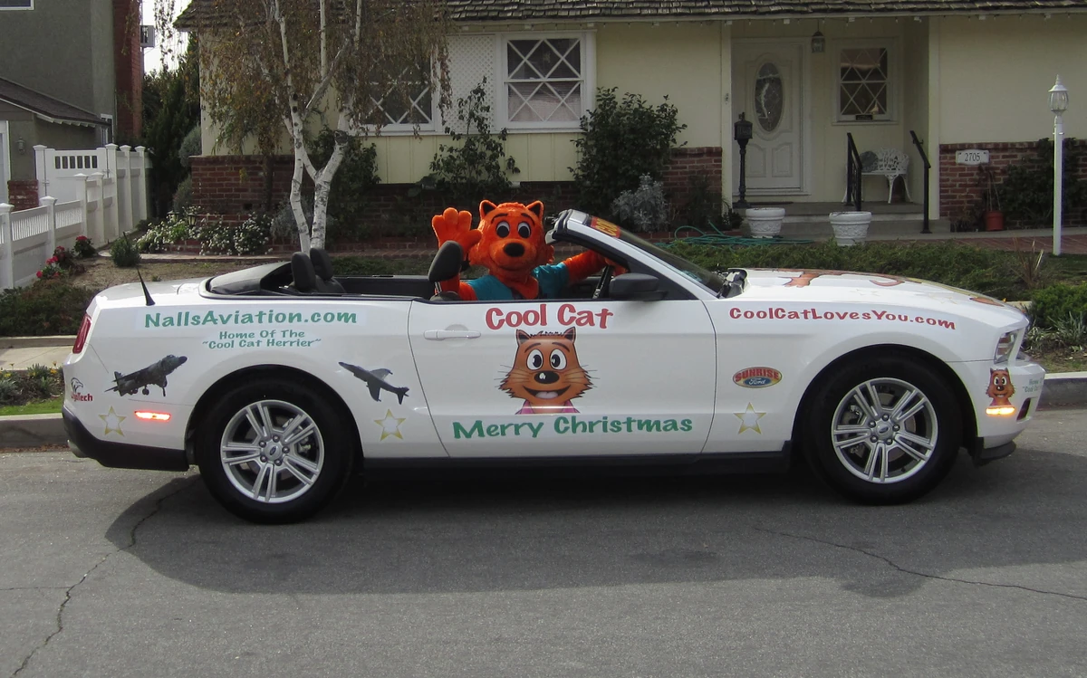 Cool Cat Convertible | Cool Cat Wiki | Fandom