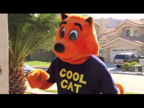 Man Who Walks Out From His House, Sees Cool Cat and Slowly Walks Back ...