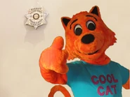 Cool Cat | Cool Cat Wiki | Fandom