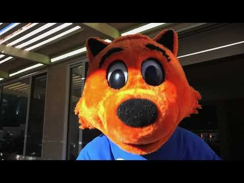 "Cool Cat Saves the Kids - Director's Cut" Kung Fu 1 Scene | Cool Cat ...