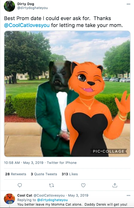 Cool Cat Parody Accounts | Cool Cat Wiki | Fandom
