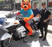 Cool Cat | Cool Cat Wiki | Fandom