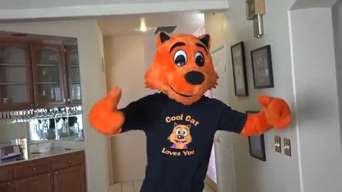 Cool Cat Wiki | Fandom