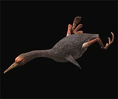 Hesperornis | Cool Dino Facts Wiki | Fandom