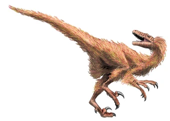 Dromaeosaurus | Cool Dino Facts Wiki | Fandom