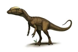 Lophostropheus | Cool Dino Facts Wiki | Fandom