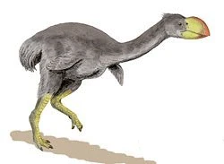 Bullockornis | Cool Dino Facts Wiki | Fandom