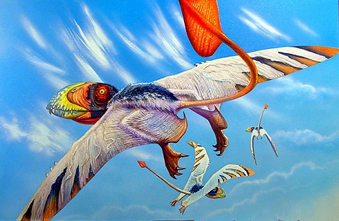 Dimorphodon | Cool Dino Facts Wiki | Fandom