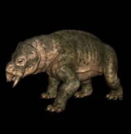 Placerias | Cool Dino Facts Wiki | Fandom