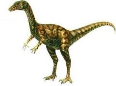 Saltopus | Cool Dino Facts Wiki | Fandom
