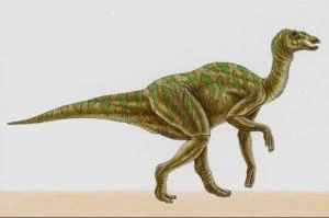 Hadrosaurus | Cool Dino Facts Wiki | Fandom