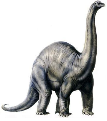 Vulcanodon | Cool Dino Facts Wiki | Fandom