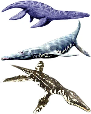 Pliosaur | Cool Dino Facts Wiki | Fandom