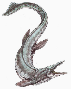 Tylosaurus | Cool Dino Facts Wiki | Fandom