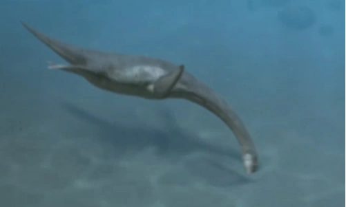 Category:Plesiosaurs | Cool Dino Facts Wiki | Fandom