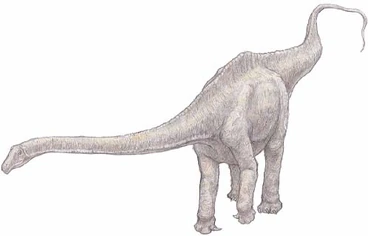 Eobrontosaurus | Cool Dino Facts Wiki | Fandom