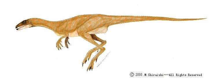 Lesothosaurus | Cool Dino Facts Wiki | Fandom