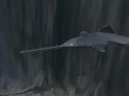 Onchopristis | Cool Dino Facts Wiki | Fandom