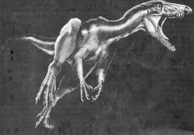 Tawa | Cool Dino Facts Wiki | Fandom