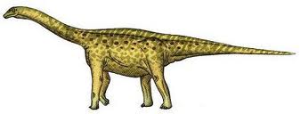 Austrosaurus | Cool Dino Facts Wiki | Fandom