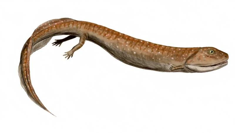 Crassigyrinus | Cool Dino Facts Wiki | Fandom