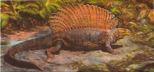 Edaphosaurus | Cool Dino Facts Wiki | Fandom