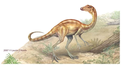 Arkansaurus | Cool Dino Facts Wiki | Fandom