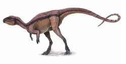 Agilisaurus | Cool Dino Facts Wiki | Fandom