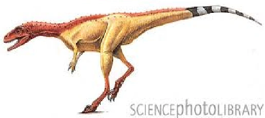 Noasaurus | Cool Dino Facts Wiki | Fandom