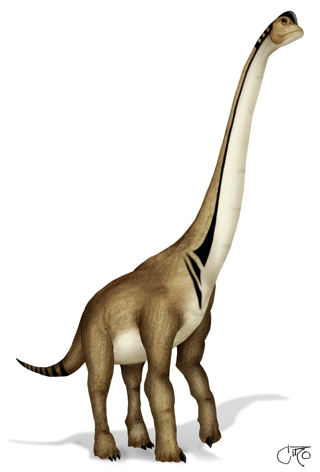 Ultrasaurus