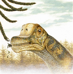 Abydosaurus | Cool Dino Facts Wiki | Fandom
