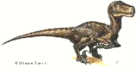 Variraptor | Cool Dino Facts Wiki | Fandom