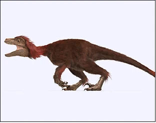 Pyroraptor | Cool Dino Facts Wiki | Fandom