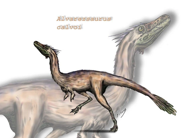 Alvarezsaurs | Cool Dino Facts Wiki | Fandom