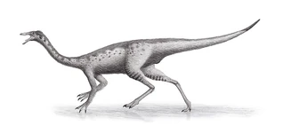 Anserimimus | Cool Dino Facts Wiki | Fandom