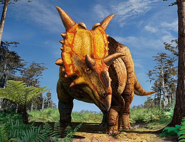 Xenoceratops | Cool Dino Facts Wiki | Fandom