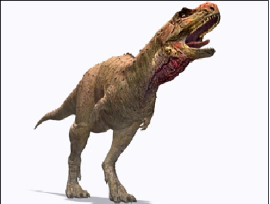 Aucasaurus | Cool Dino Facts Wiki | Fandom