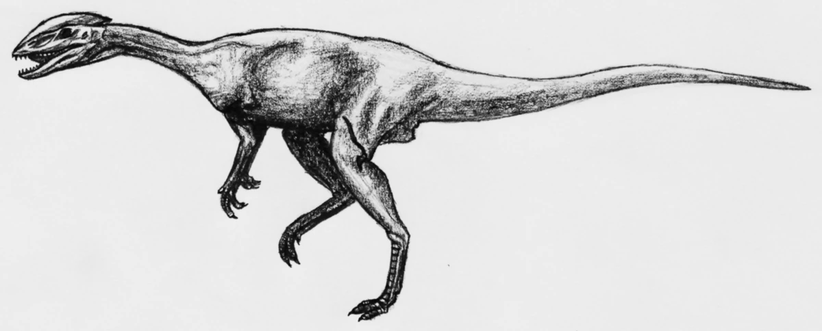 Dracovenator | Cool Dino Facts Wiki | Fandom