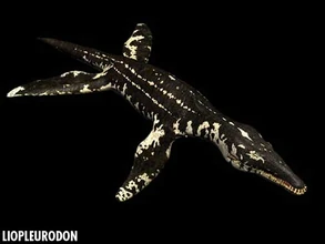 Liopleurodon | Cool Dino Facts Wiki | Fandom