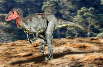 Neovenator | Cool Dino Facts Wiki | Fandom