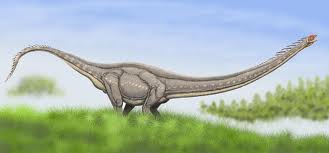 Zigongosaurus | Cool Dino Facts Wiki | Fandom