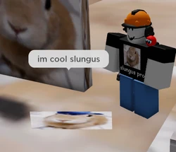 Slungus | Roblox Item Asylum Wiki | Fandom