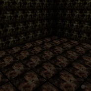 Specimen 9 | Roblox Item Asylum Wiki | Fandom