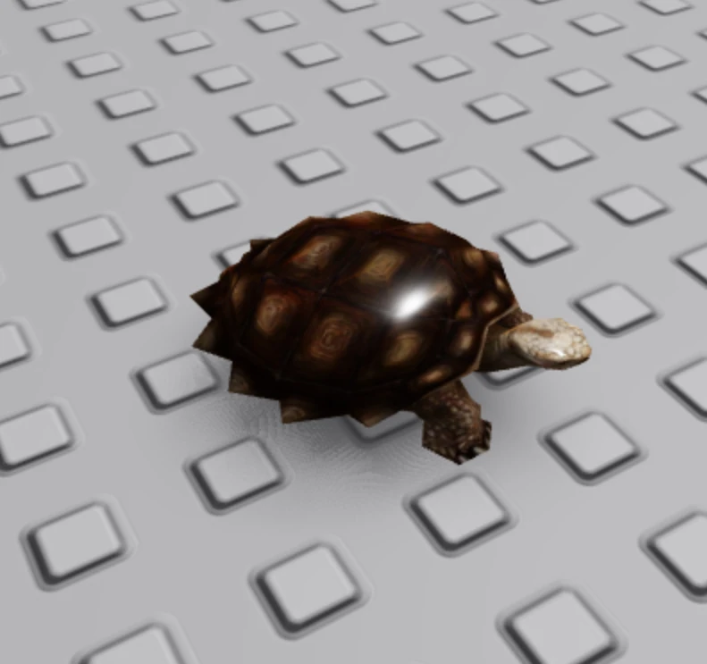 Turtle | Roblox Item Asylum Wiki | Fandom