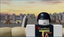 TC | Roblox Item Asylum Wiki | Fandom
