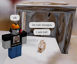 Slungus | Roblox Item Asylum Wiki | Fandom